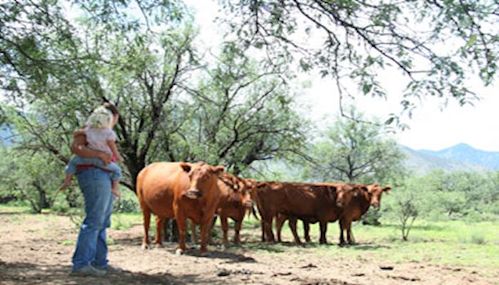 5 Strategies will Keep Arizona Farming for the Next Generation