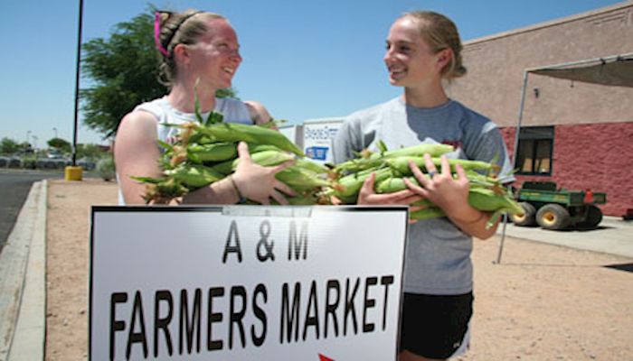 Arizona Agriculture's Exciting Organic Farming Numbers
