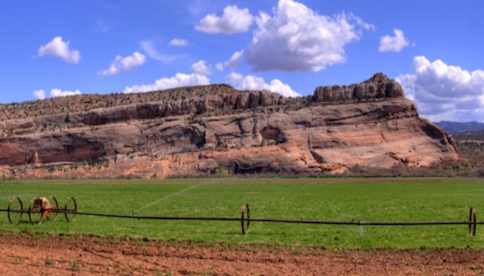 Top 5 Reasons Why Agriculture is Good for the Land