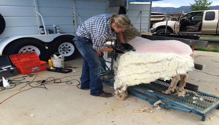 Meet Arizona Agriculture's Crystal Killian