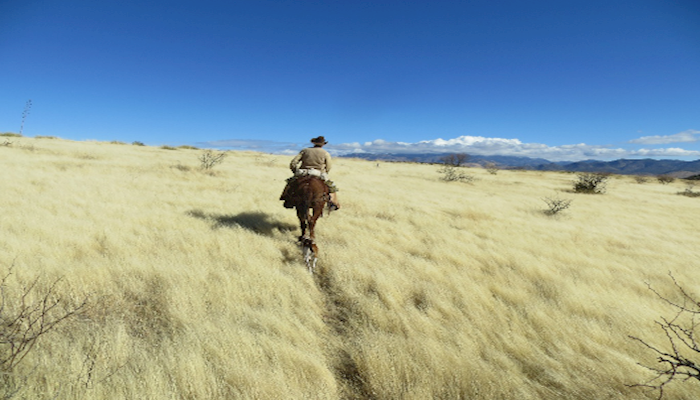 Meet Arizona Agriculture's Warner Glenn