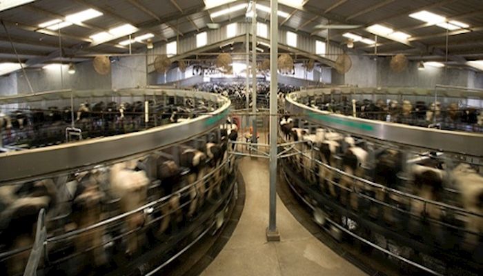 Meet Arizona Agriculture’s Dairy Farmers