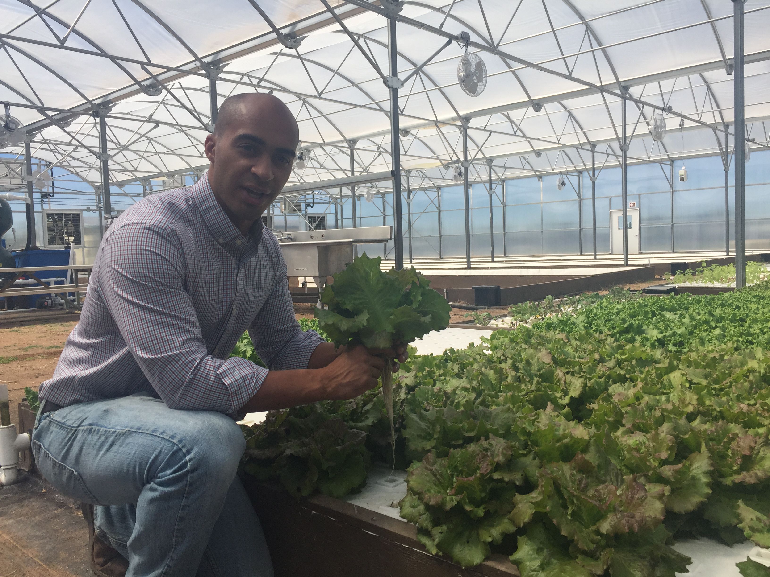 Two Arizona Urban Farmers Win National Grants