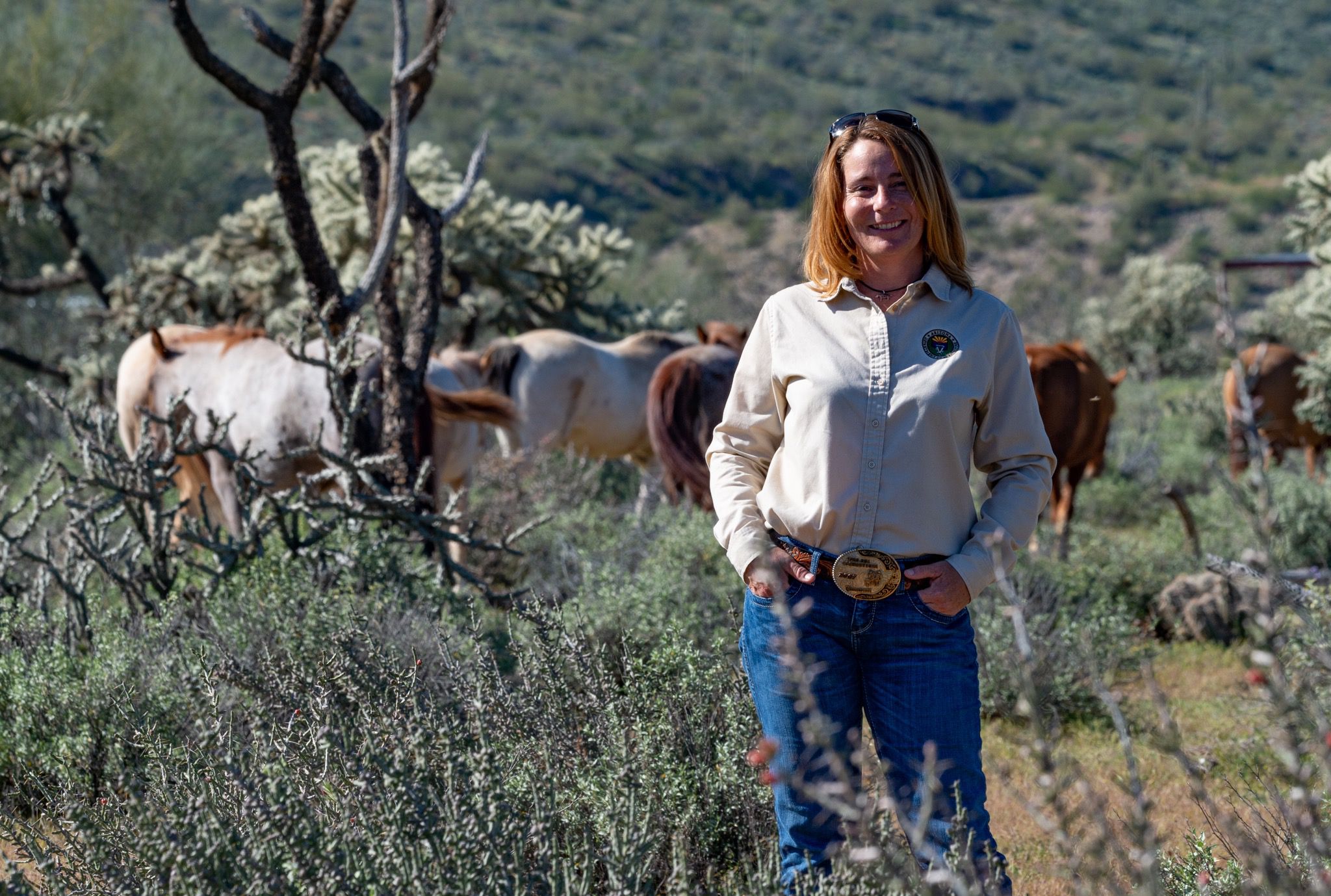 A Conversation About Wild Horses: Jacquelyn Hughes